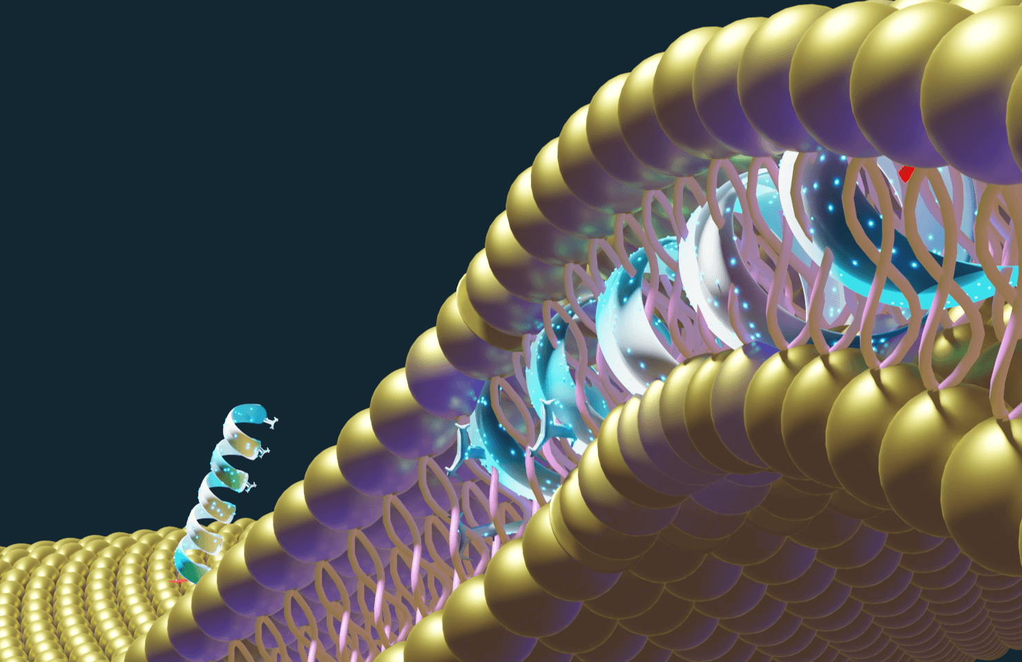 Publications - Freeman Lab
