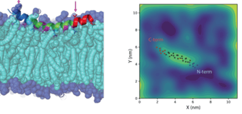 Publications - Freeman Lab